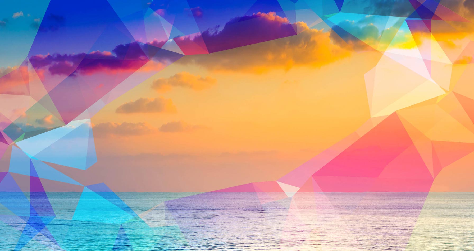 AMS SUMMER SPORT CAMP 2025 Edycja 12